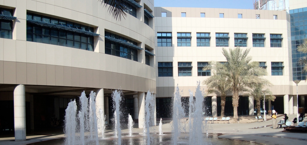 Our Successes – Bareec